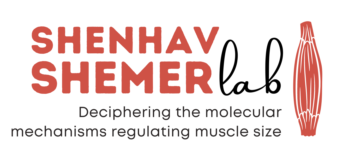 Create QR code – Shenhav Shemer Lab